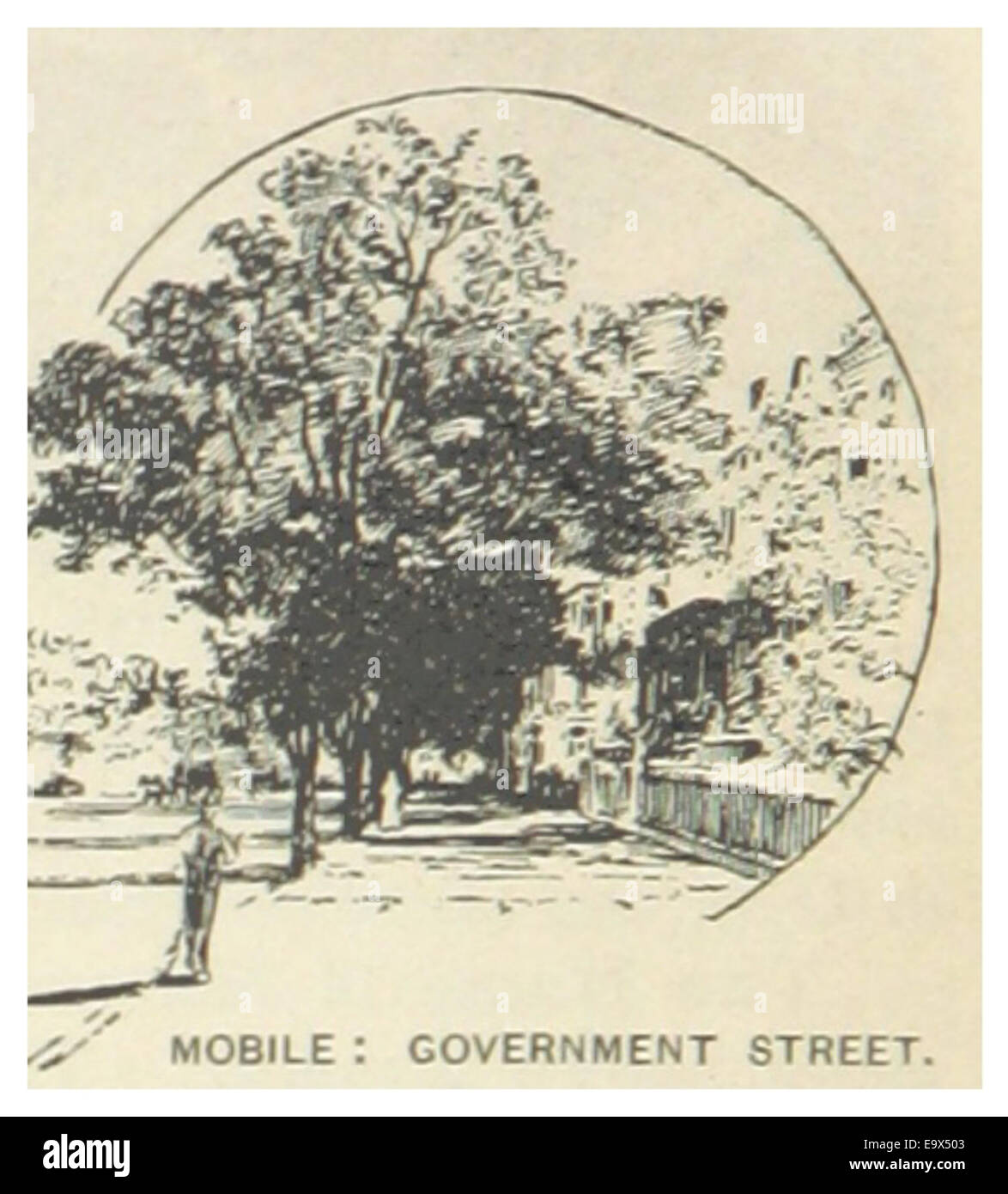 A historic 1891 photograph of Government Street in Mobile, Alabama ...