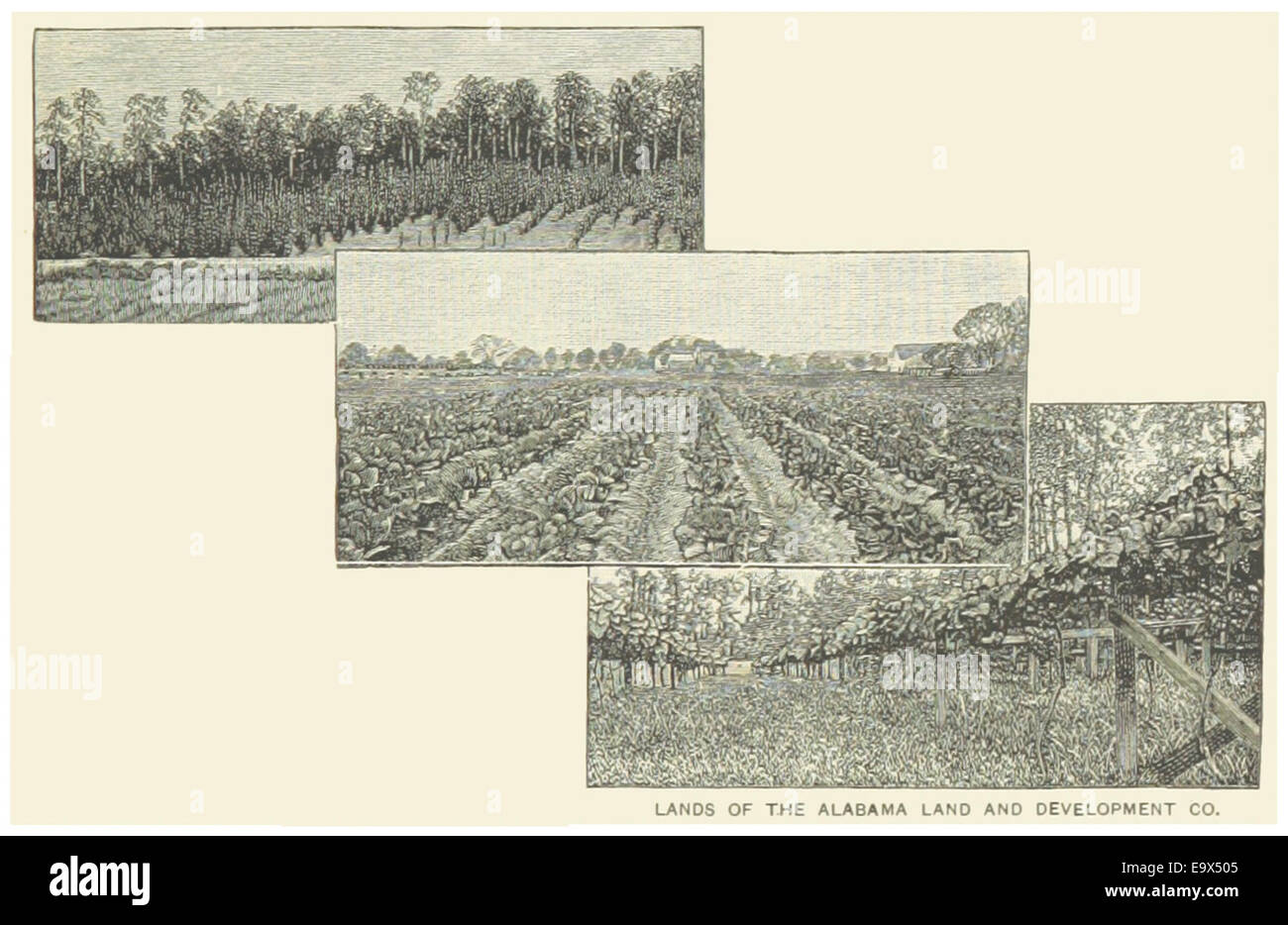 Page 033 from *US-AL (1891)* depicts the Alabama Land & Development ...