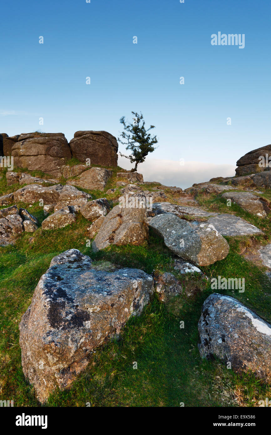 Tor dartmoor devon landscape england hi-res stock photography and ...