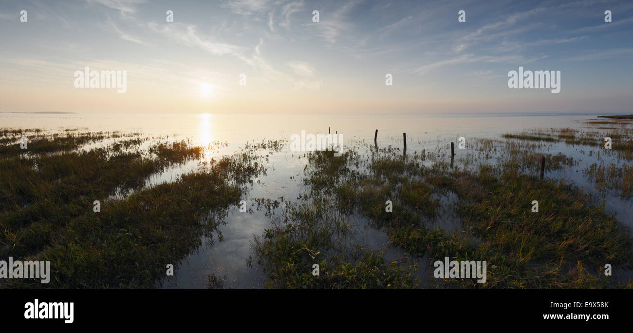 High spring tide flooding coastal salt marsh. Bristol Channel. Somerset ...