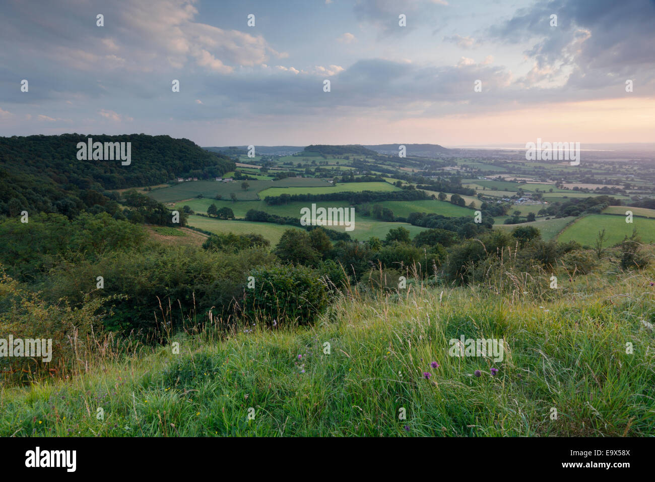 Cam gloucestershire hi-res stock photography and images - Alamy