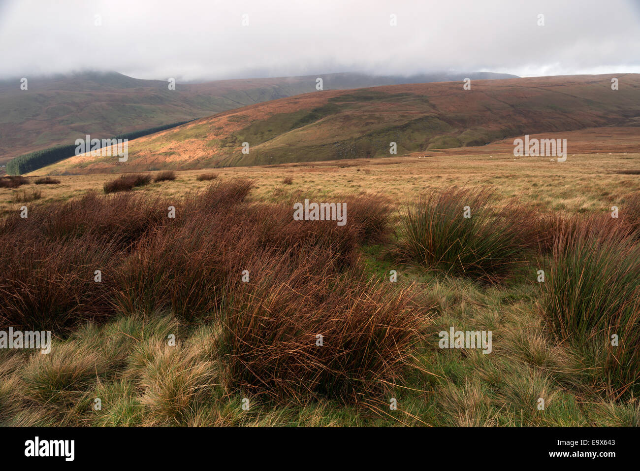 Bwlch brecon beacons hi-res stock photography and images - Alamy