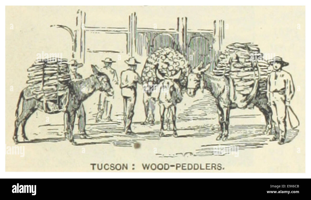 US-AZ(1891) p059 TUCSON, WOOD PEDDLERS Stock Photo - Alamy