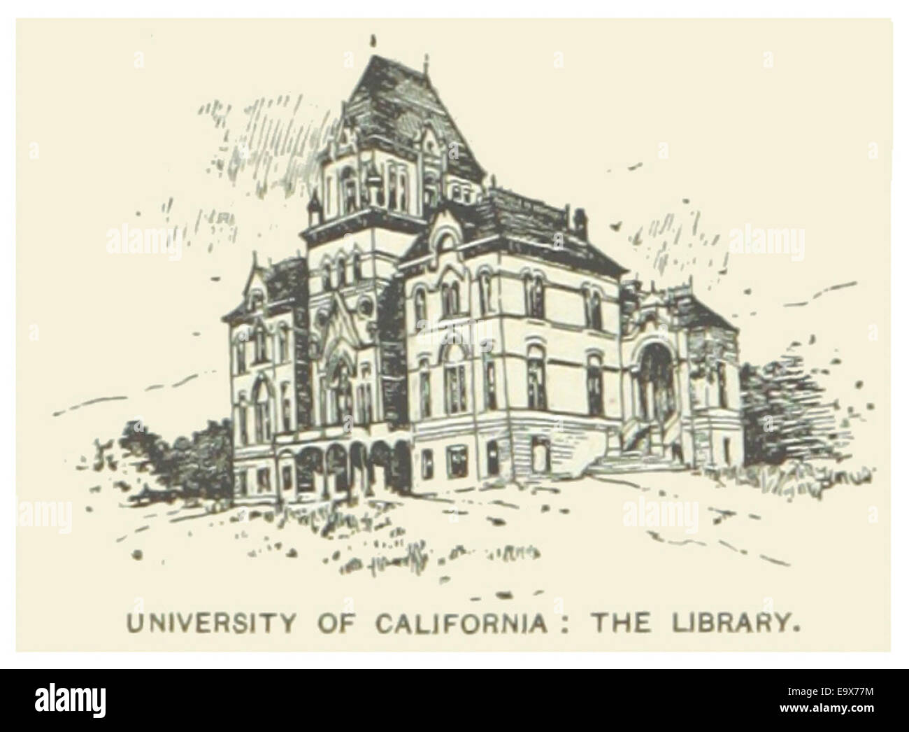 University state library campus Cut Out Stock Images & Pictures - Alamy