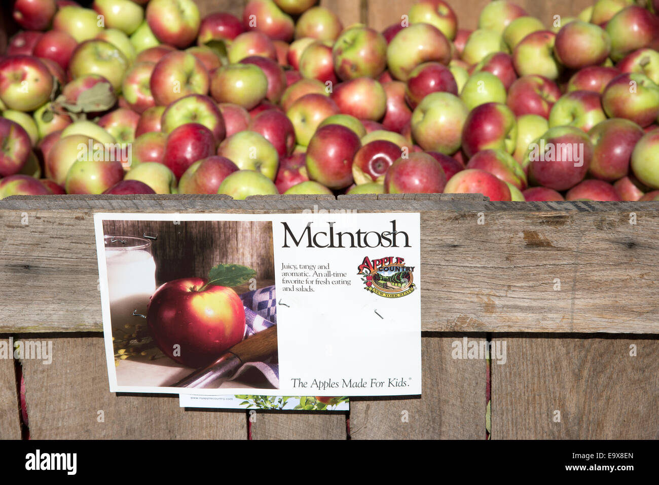 Mcintosh apples hi-res stock photography and images - Alamy