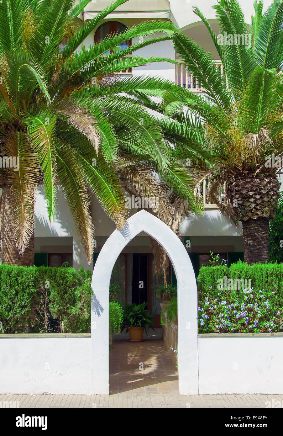 Entrance into the courtyard with palm trees Stock Photo - Alamy