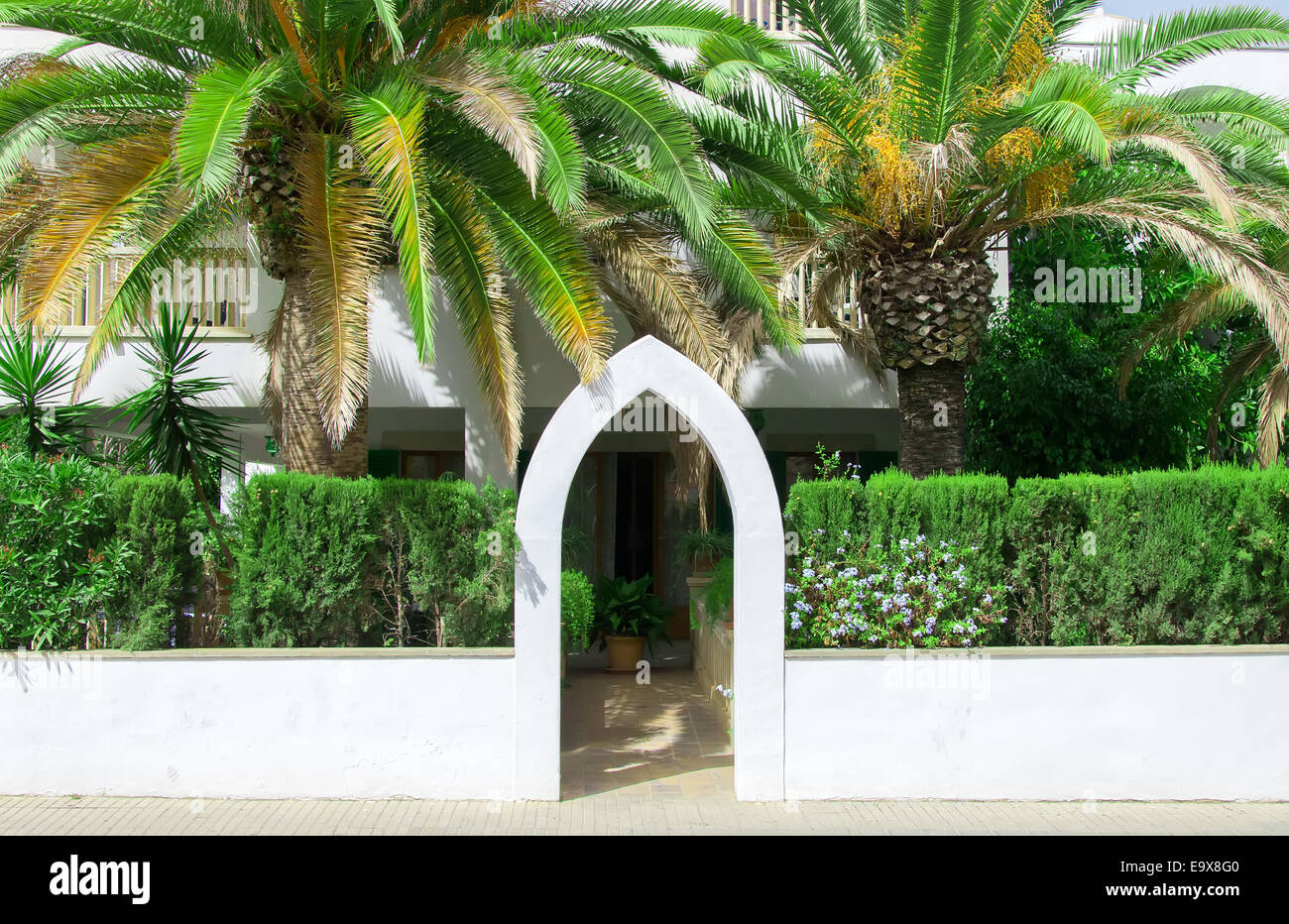 Entrance into the courtyard with palm trees Stock Photo - Alamy