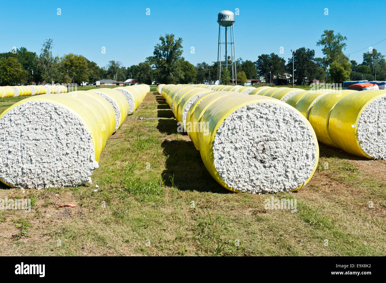 Cotton ginning hi-res stock photography and images - Alamy