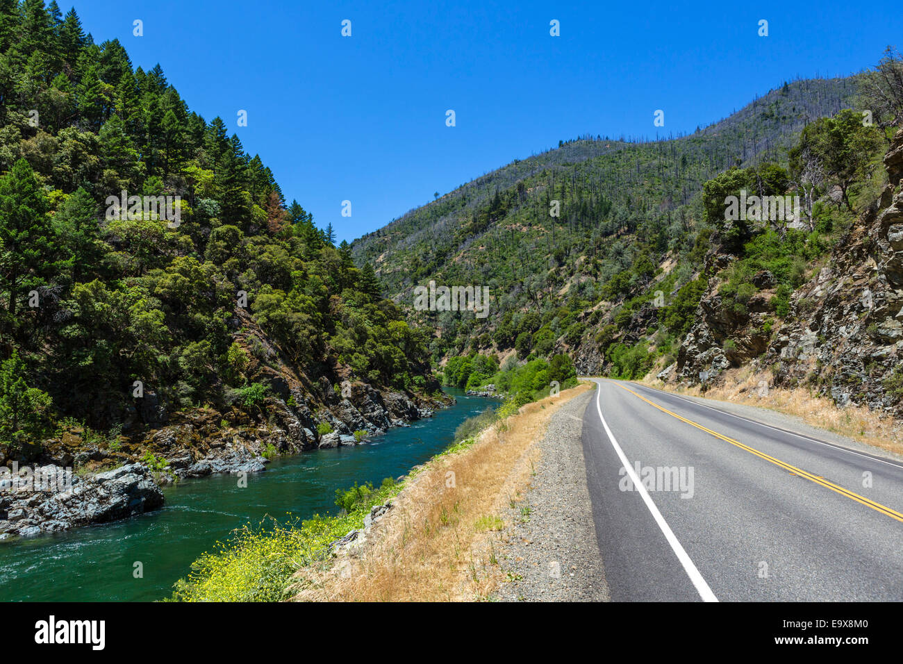 State road 299 alongside Trinity River in Shasta-Trinity National ...