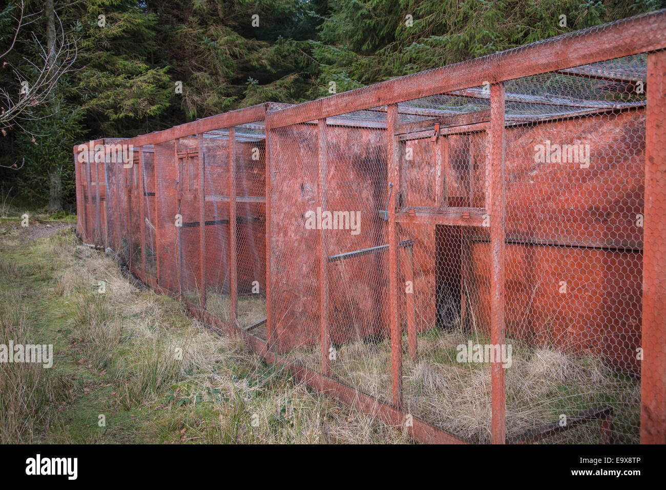 Secret Cages at Bennan Forest In Dumfries & Galloway Stock Photo - Alamy