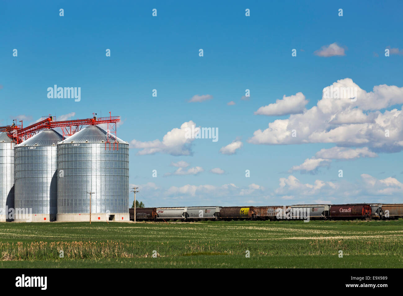 Large metal grain bins with grain rail cars and blue sky and clouds ...