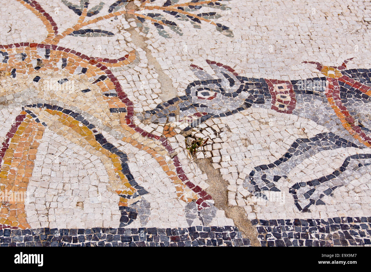 Hunting scene, Roman mosaics in 4th century tombs outside the Myndos ...