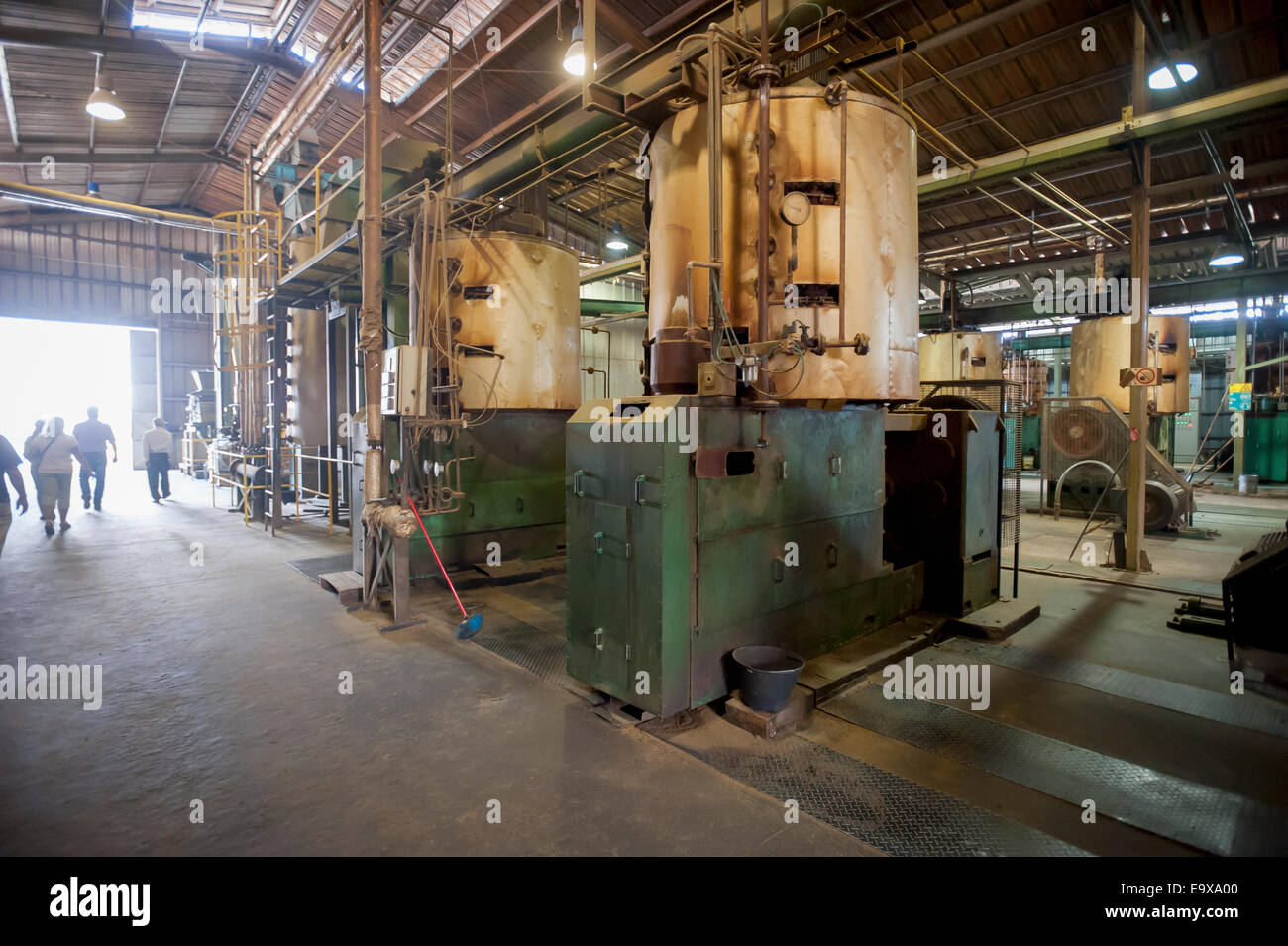 Canola oil (rapeseed) production at Molinera Gorbea, a grain processor ...