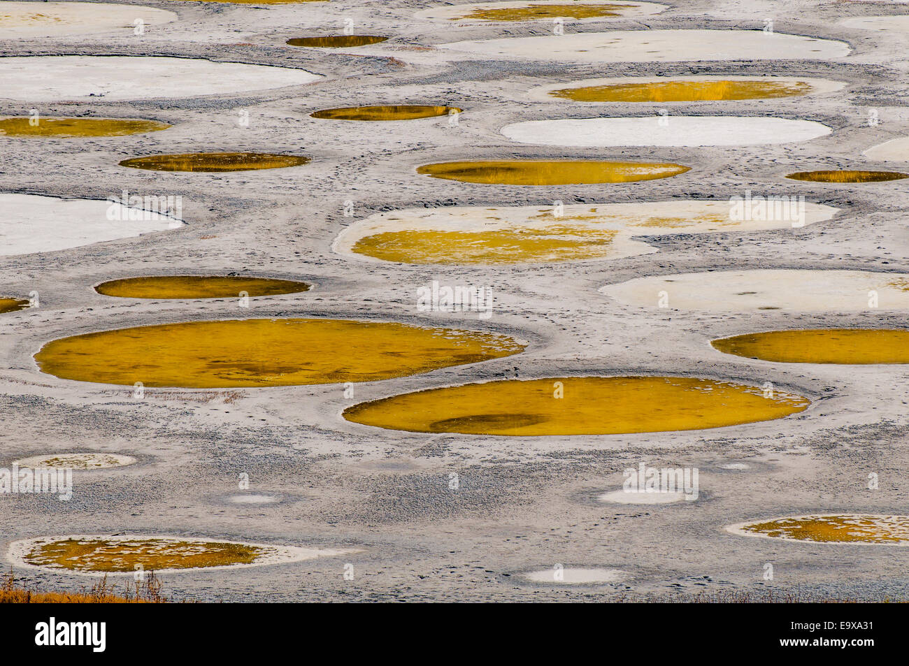 Spotted lake canada hi-res stock photography and images - Alamy