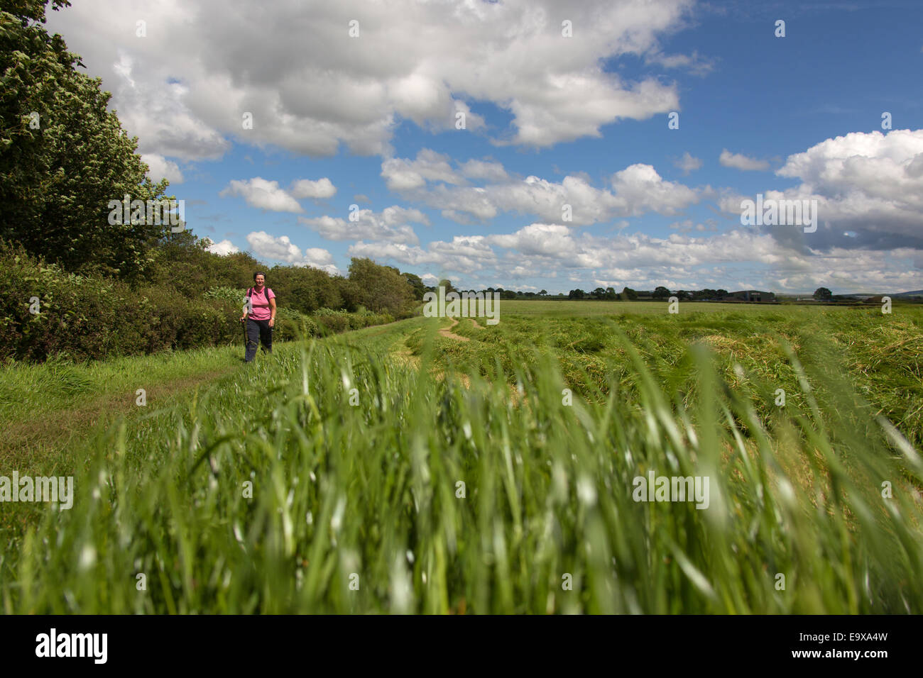 Lady carlisle hi-res stock photography and images - Alamy