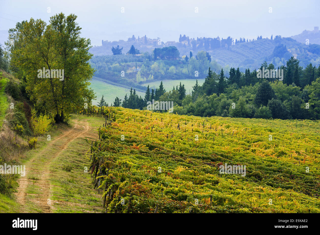 Poggibonsi hi-res stock photography and images - Alamy