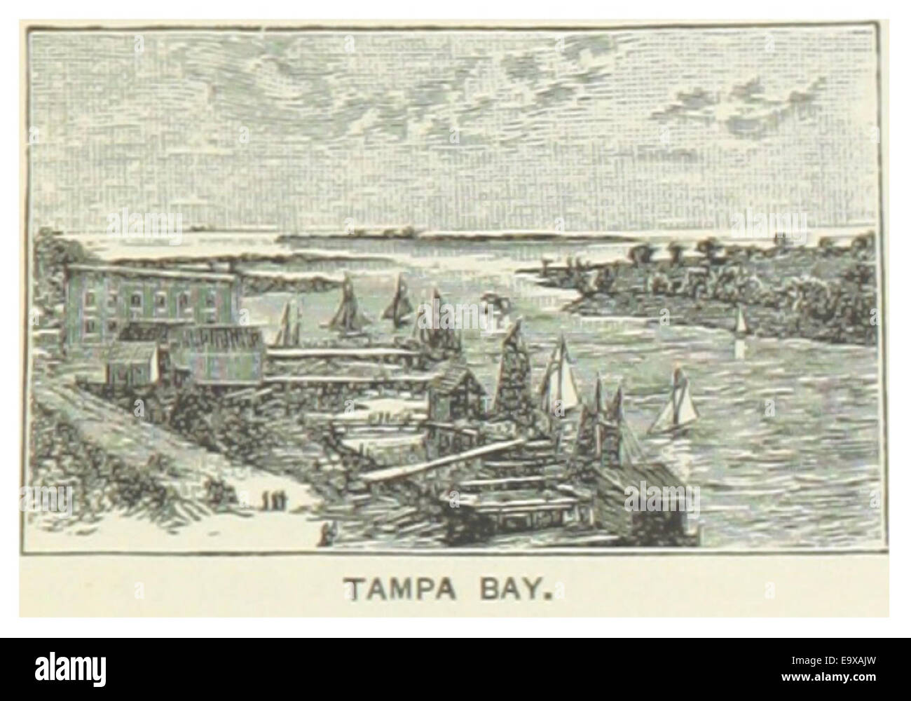 This 1891 map illustrates the Tampa Bay area in Florida, showcasing its ...