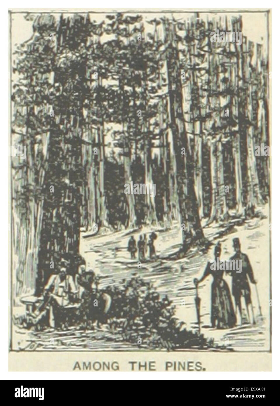 This 1891 map illustration depicts a scene Among the Pines in Florida ...