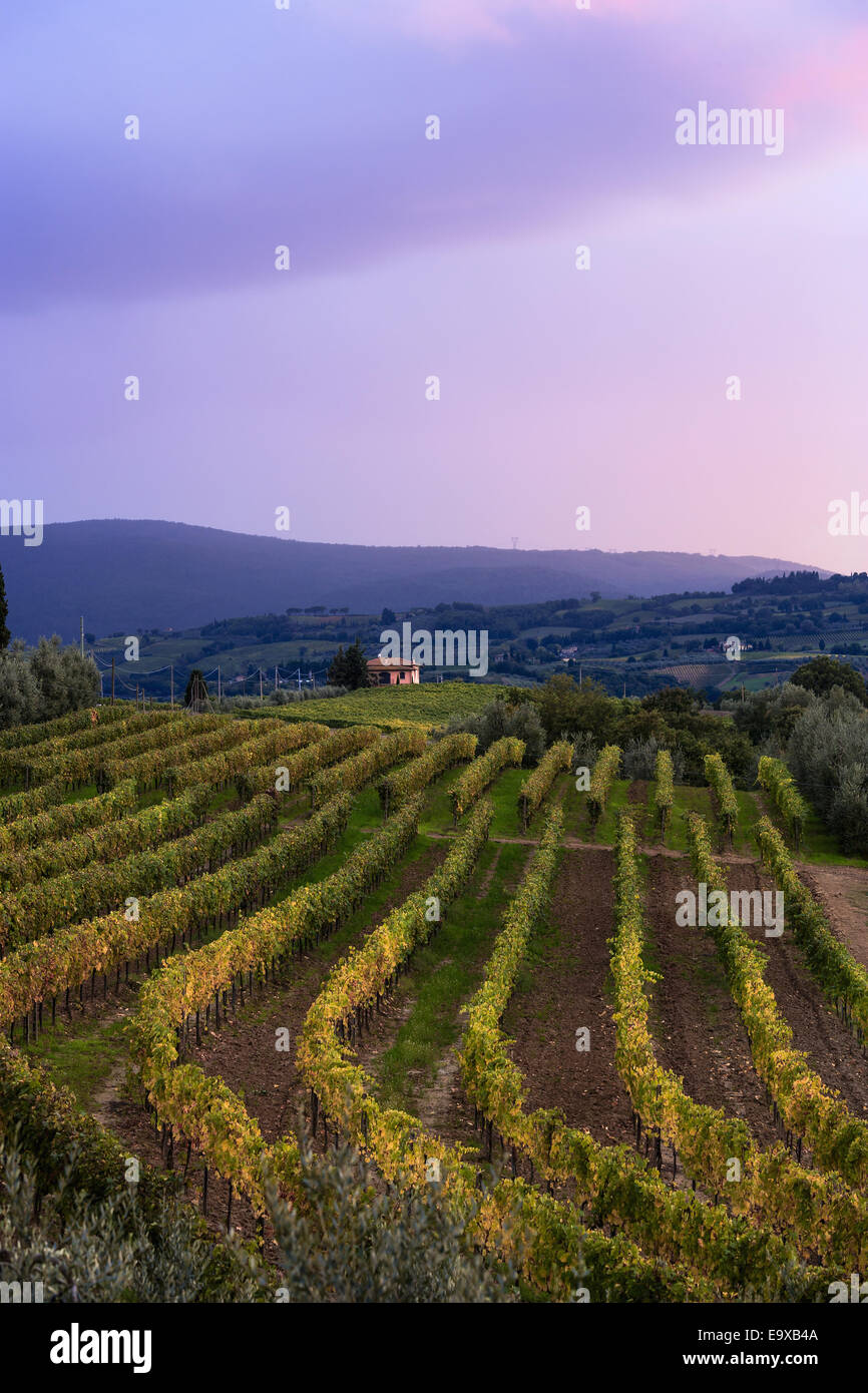 Tranquil rural scenes in italy hi-res stock photography and images - Alamy
