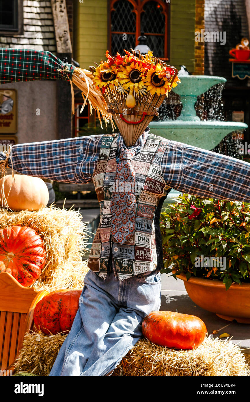 Scarecrows and pumpkins hi-res stock photography and images - Alamy