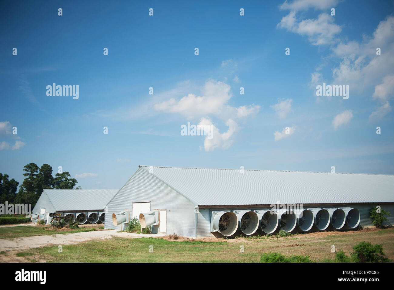 Poultry building; Shelltown, Maryland, United States of America Stock ...
