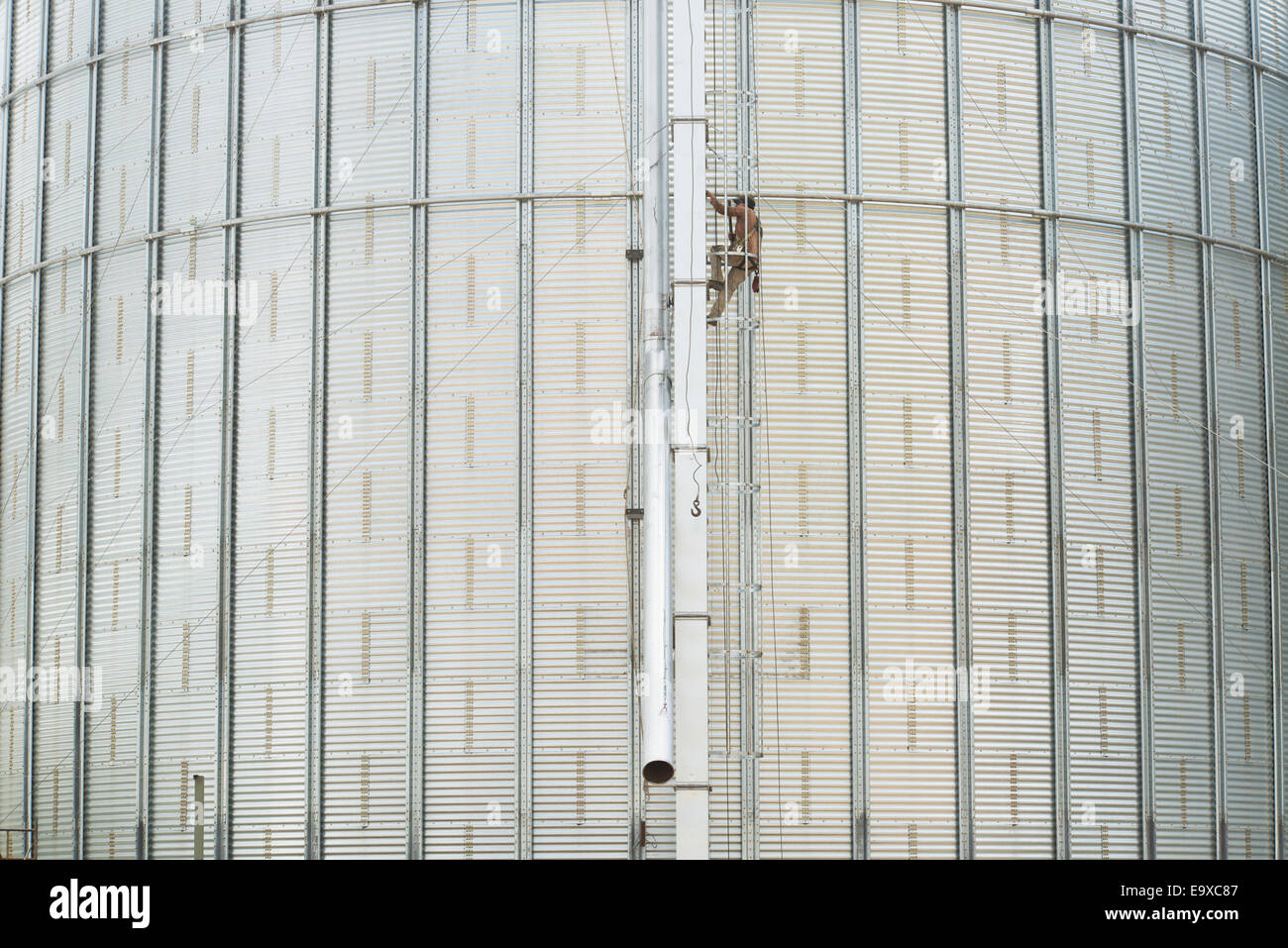 Man climbing silo ladder; Temuco, Cautin Province, Chile Stock Photo ...