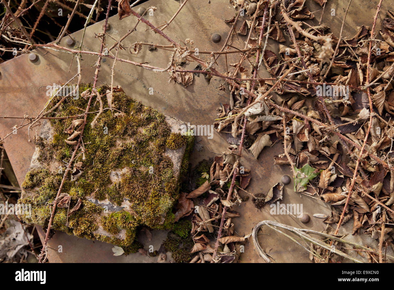 Waste ground hi-res stock photography and images - Alamy