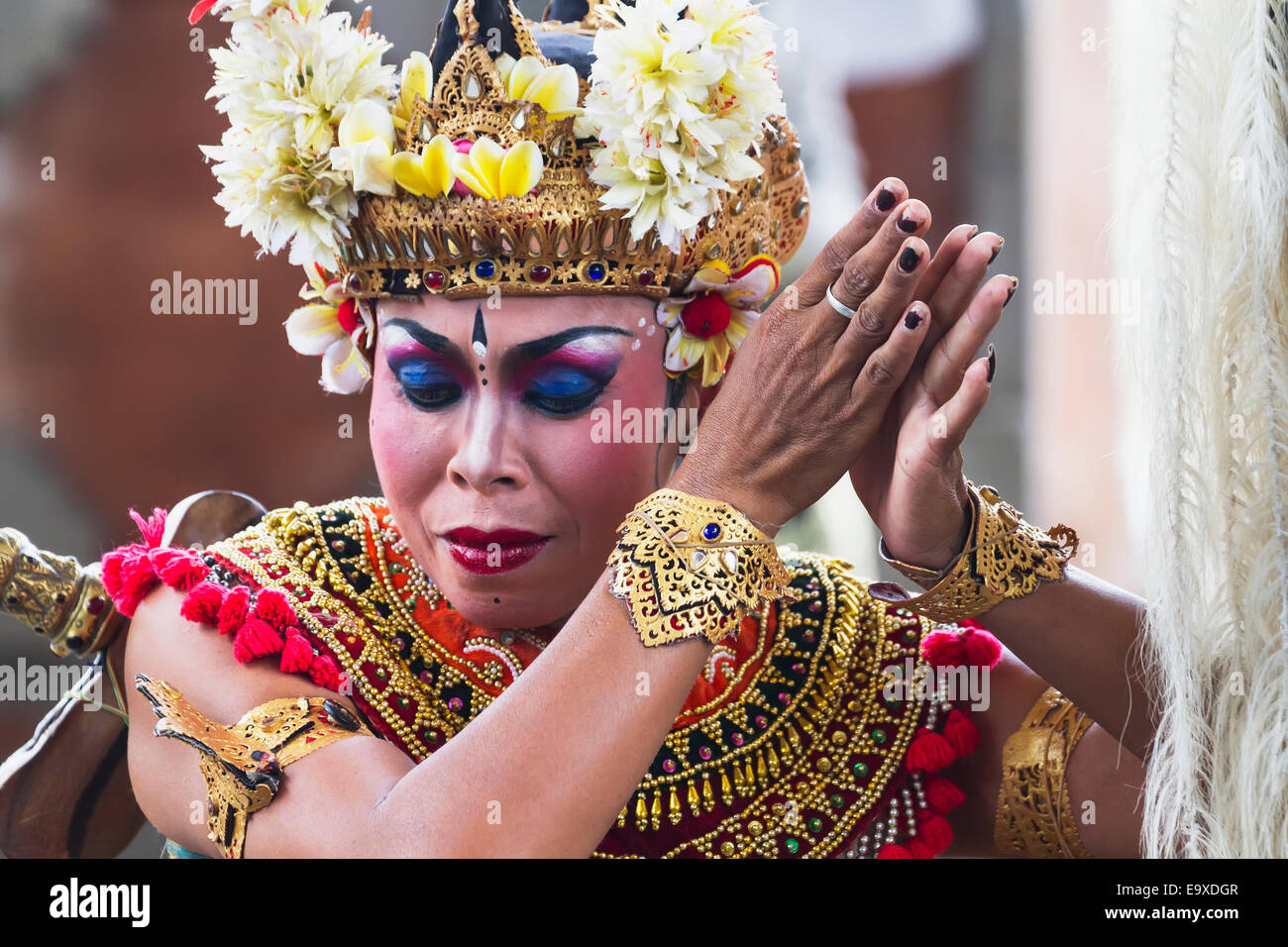 Balinese dancer using codified hand positions and gestures at a Barong ...