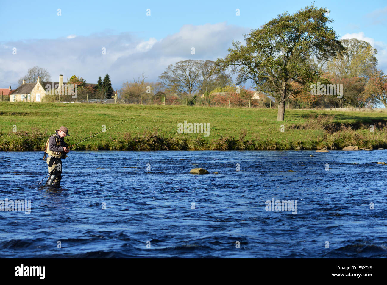 Fly Fishing River High Resolution Stock Photography and Images - Alamy