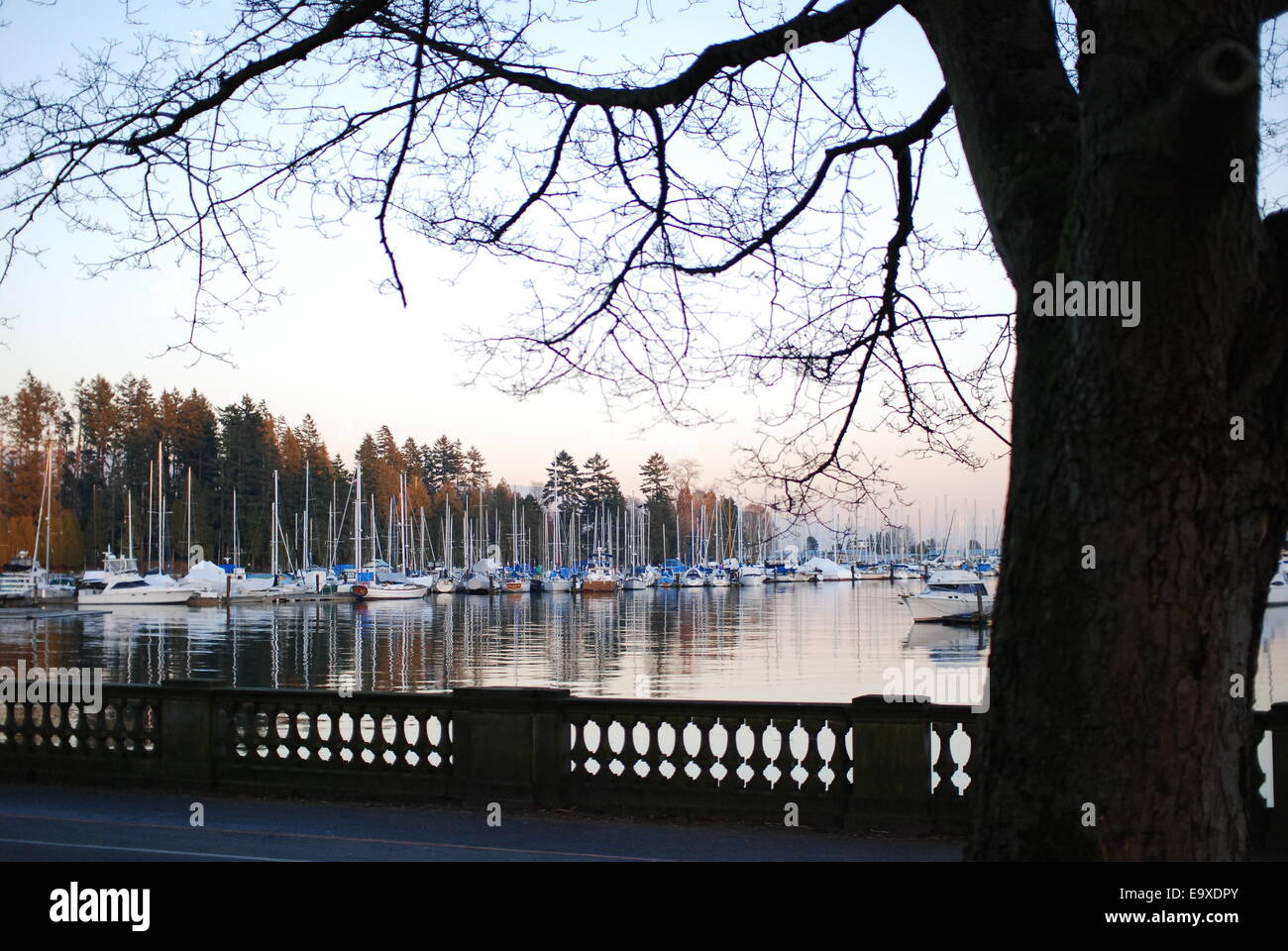 One side of view at downtown Vancouver in Stanley Park Stock Photo - Alamy