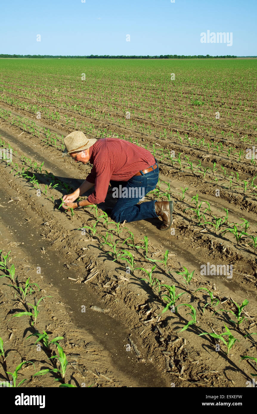 Maturity check hi-res stock photography and images - Alamy