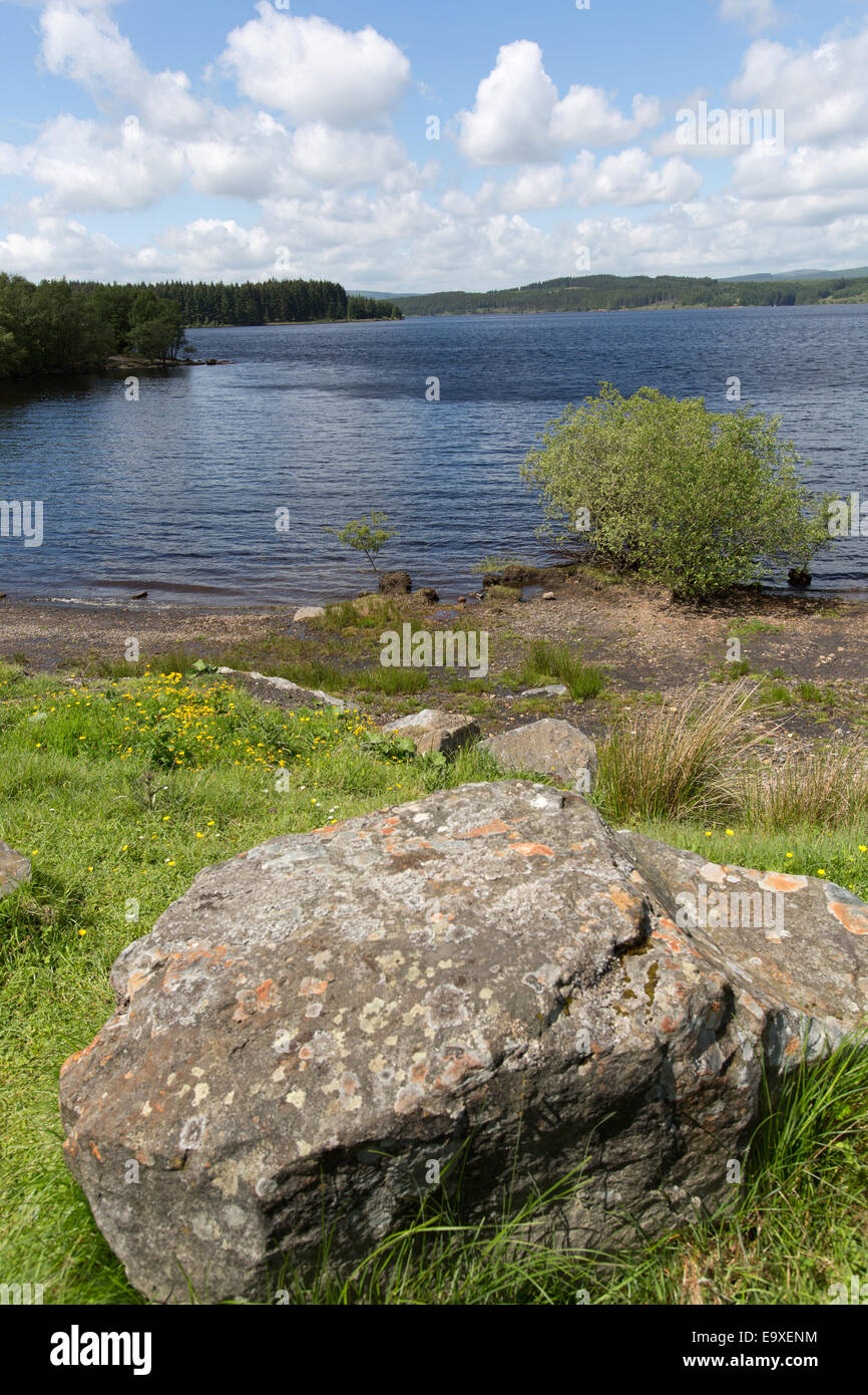 Kielder Lake, Northumberland. Picturesque early summer view of Kielder ...