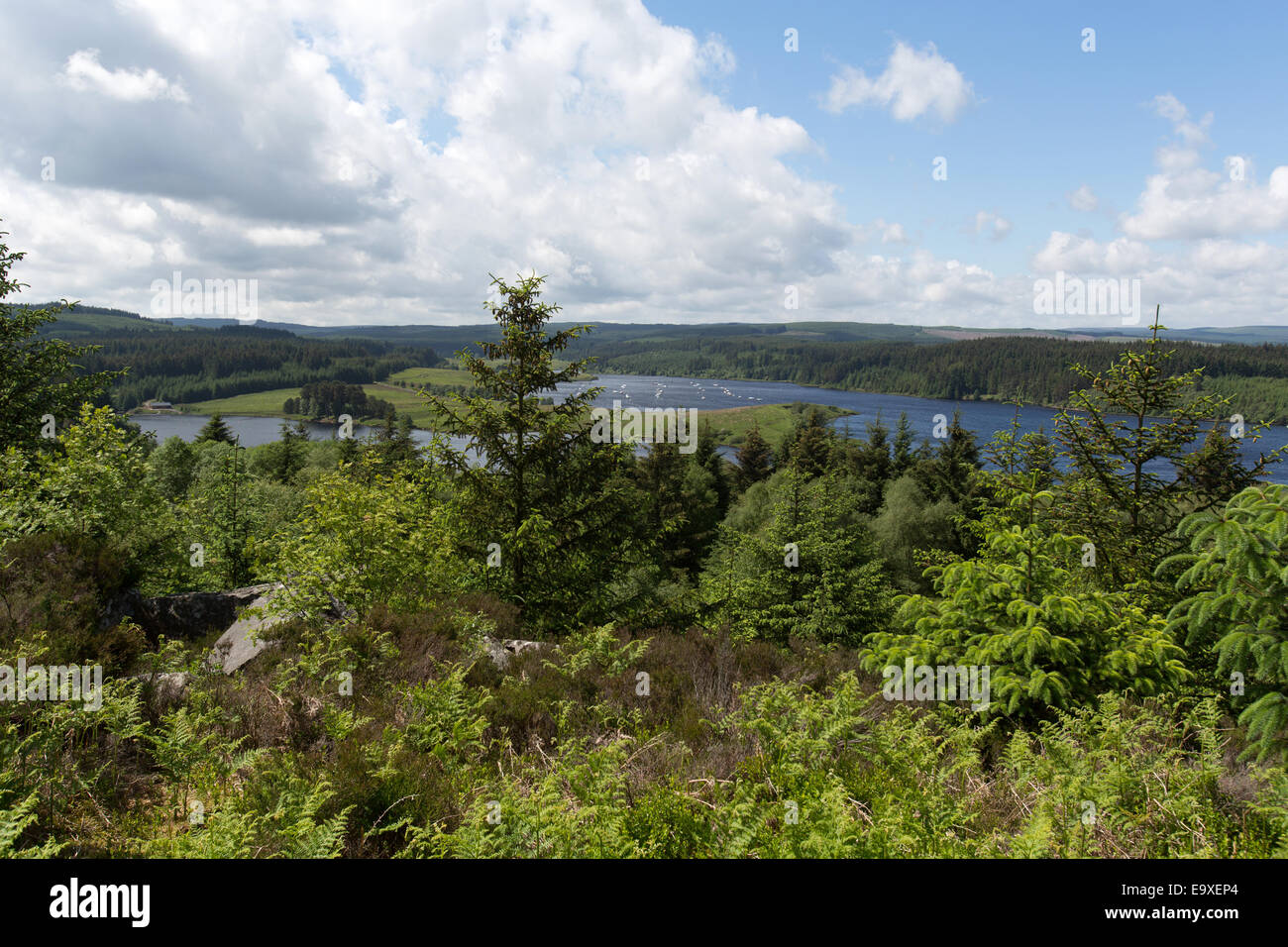 White kirk viewpoint hi-res stock photography and images - Alamy