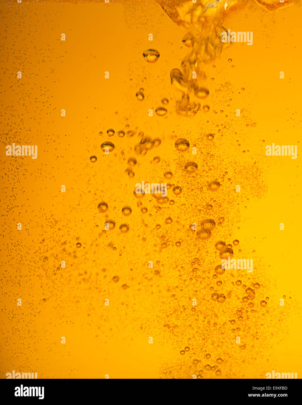 Beer hops pattern hi-res stock photography and images - Alamy