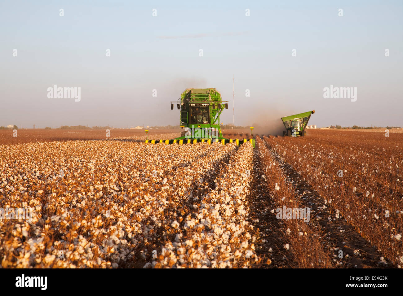 Cotton wagons hi-res stock photography and images - Alamy