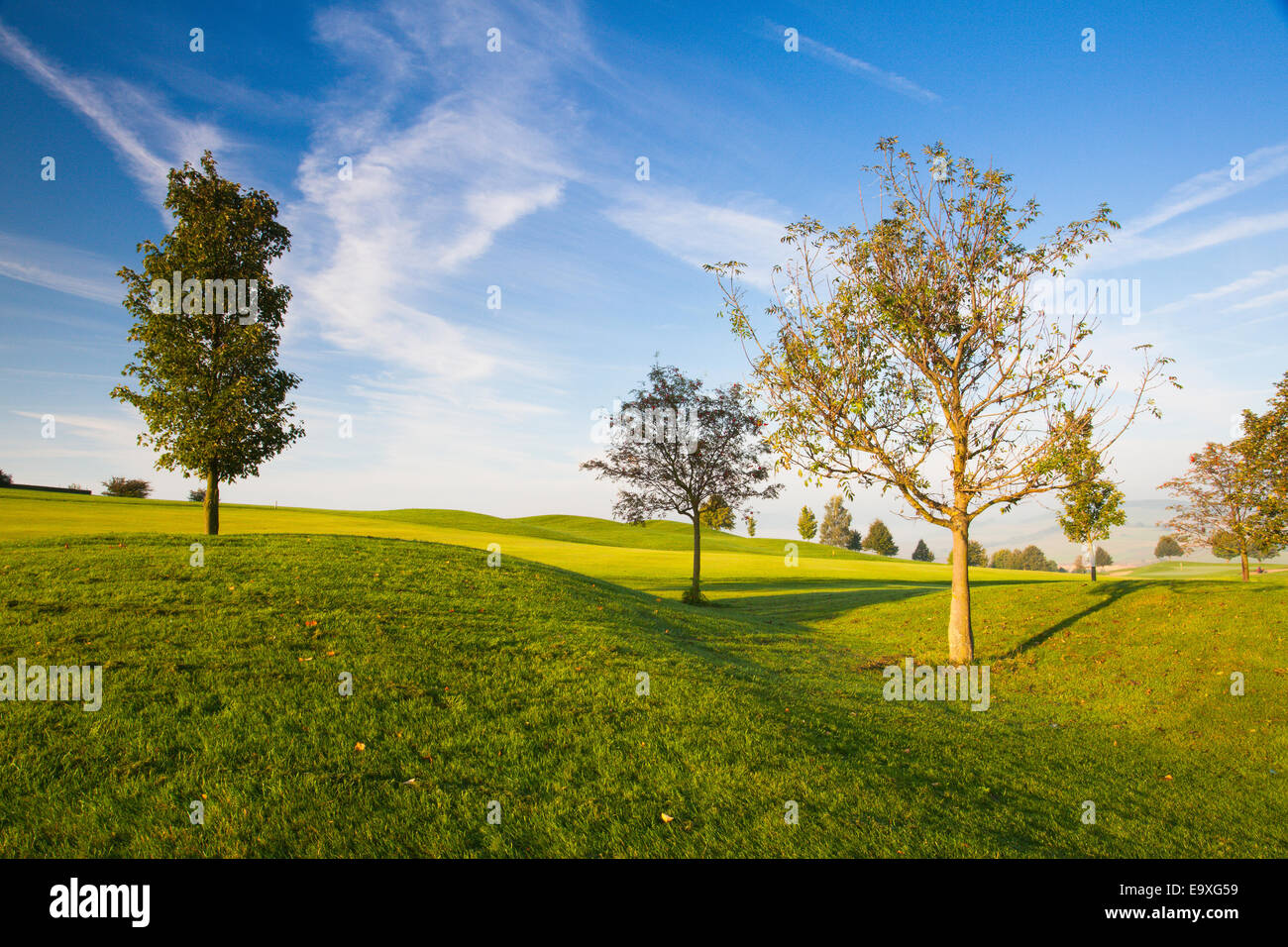 Misty golf course hi-res stock photography and images - Alamy