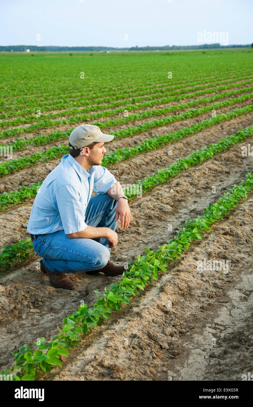 Maturity check hi-res stock photography and images - Alamy