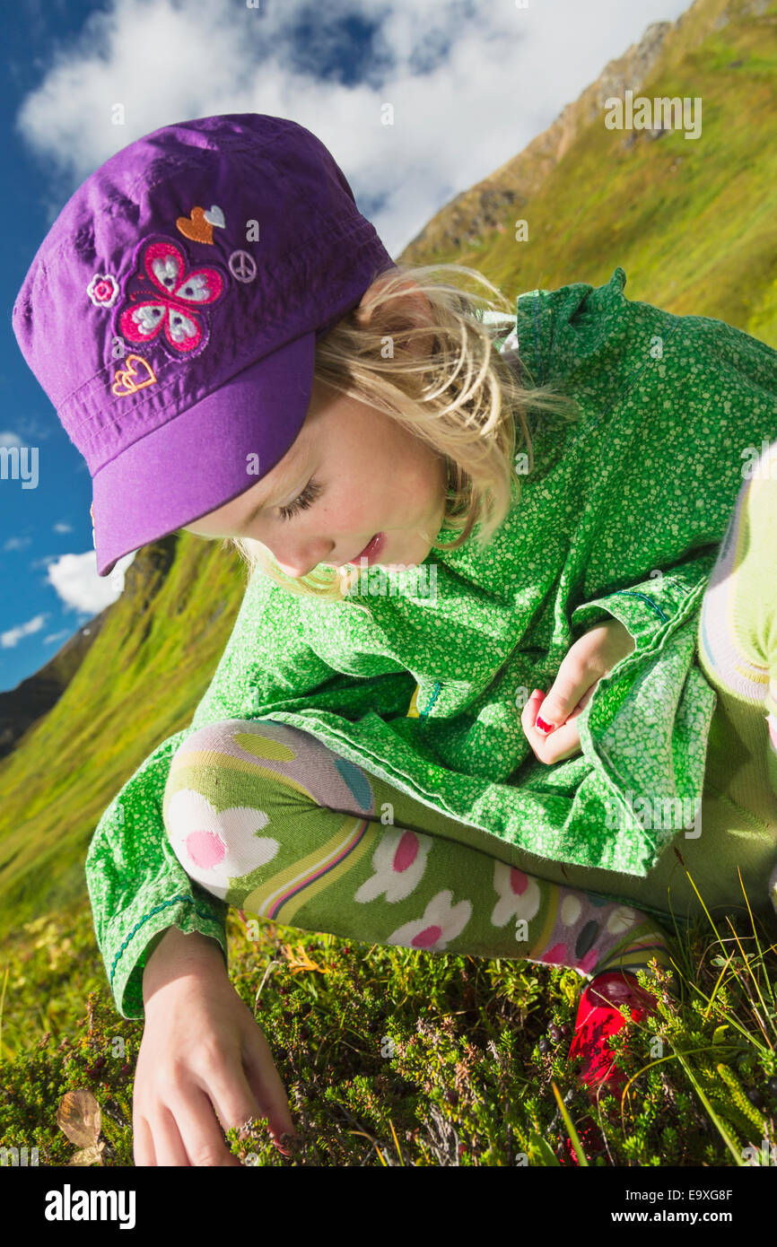 Alaska berry picking hi-res stock photography and images - Alamy