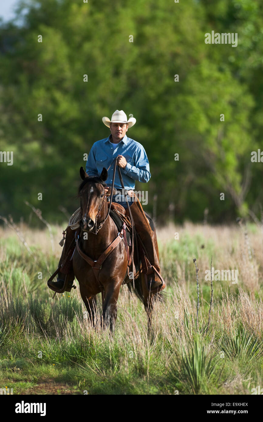 Texas cowboy on horseback on hi-res stock photography and images - Alamy