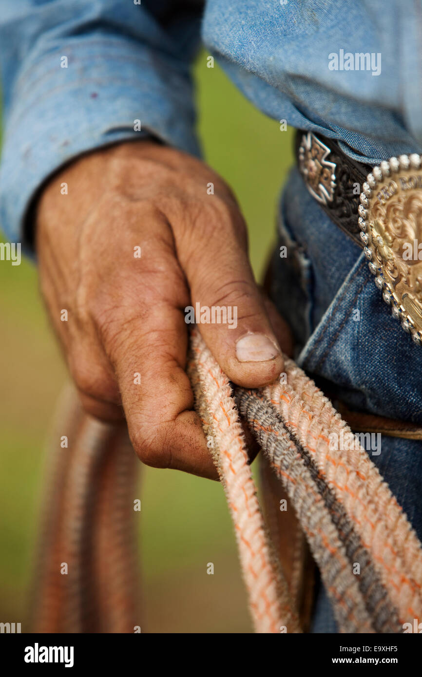 Agriculture - Detail of a cowboy holding a coiled rope / Childress ...