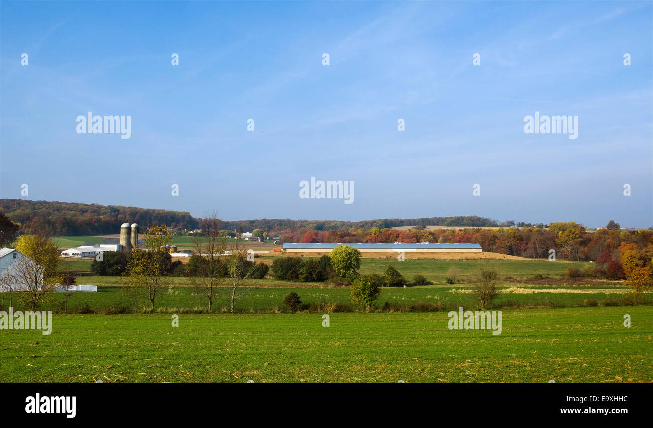 Livestock - Large new poultry finishing house constructed on a ...