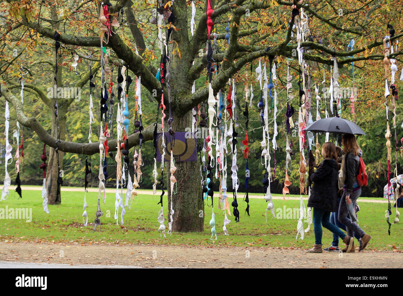 Bras are hunging on tree at Vondelpak during International Day of the ...