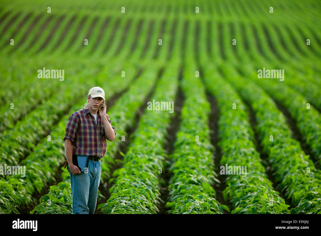 Check checks hi-res stock photography and images - Alamy