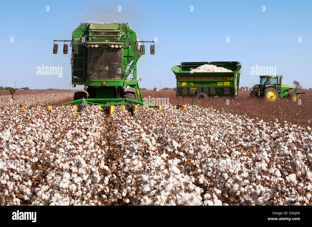 Cotton wagons hi-res stock photography and images - Alamy