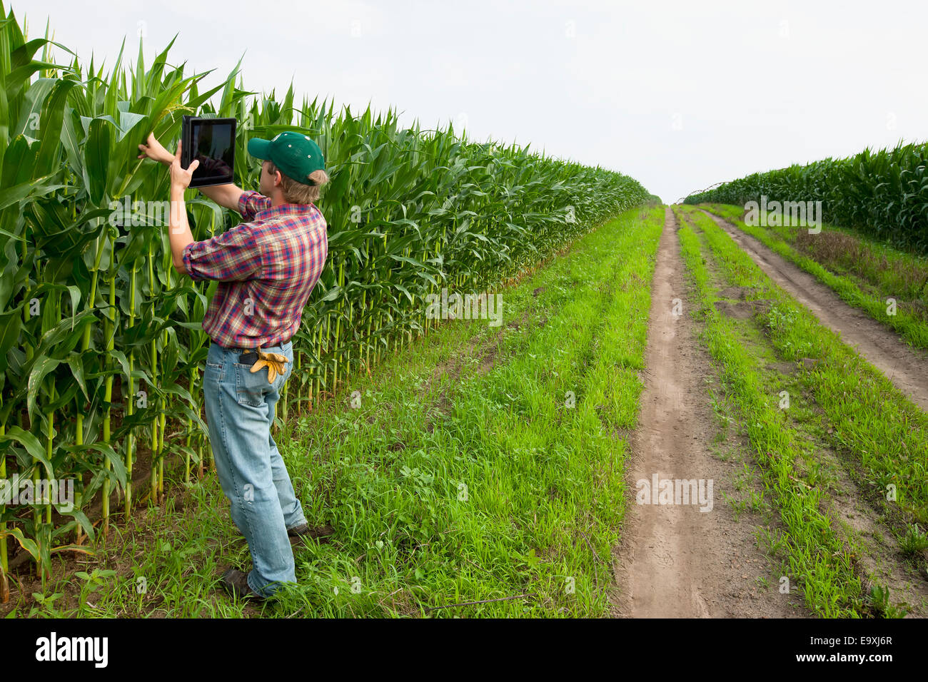 Agricultural data hi-res stock photography and images - Alamy