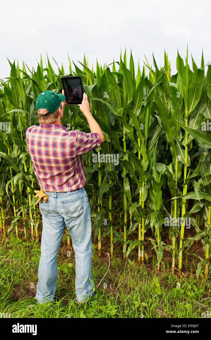 Agricultural data hi-res stock photography and images - Alamy