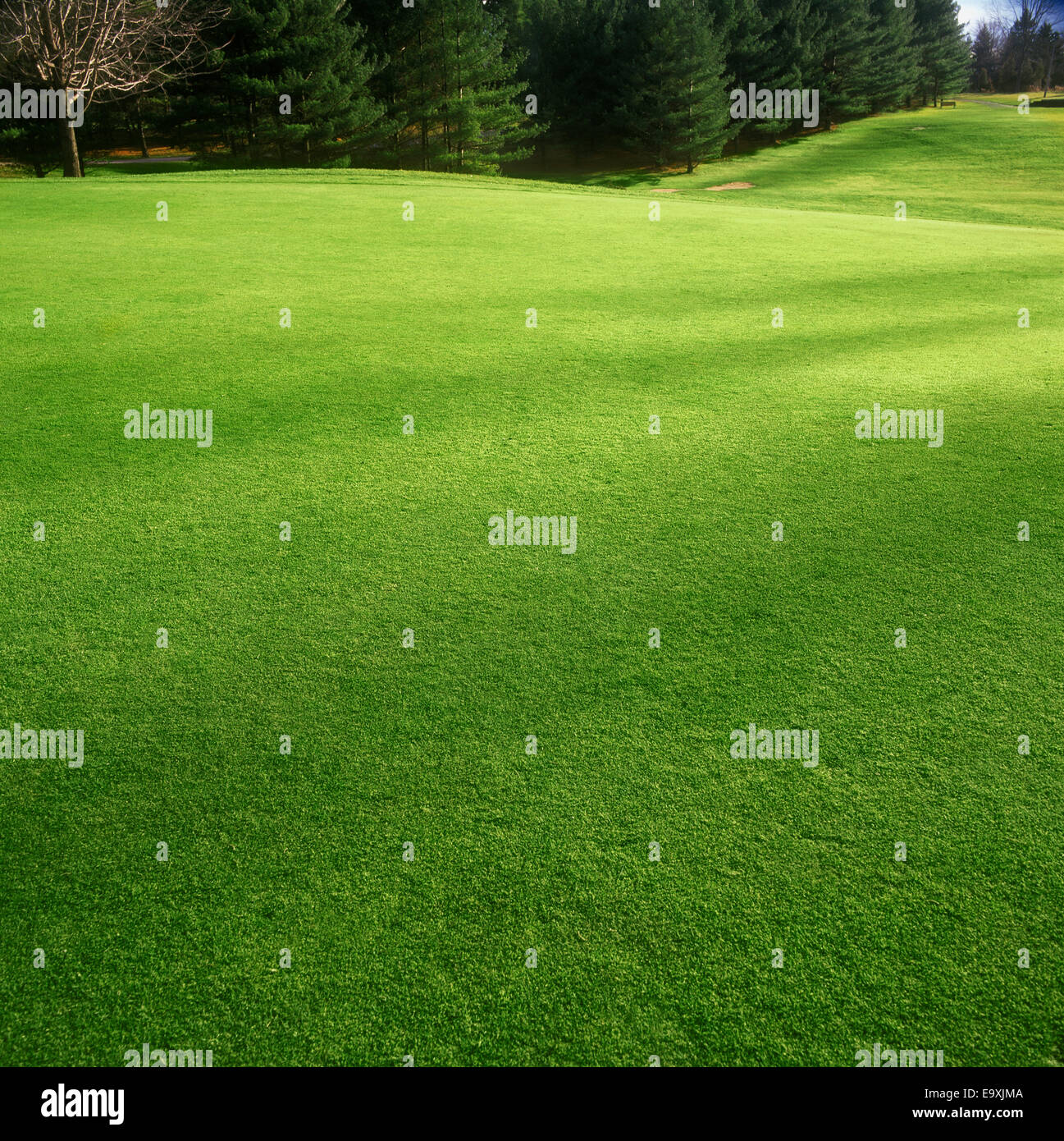Turf rolling hi-res stock photography and images - Alamy