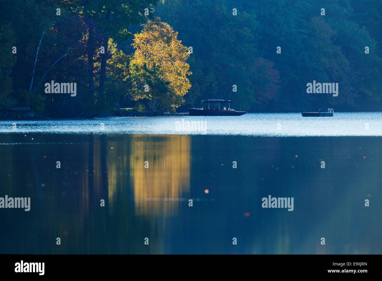 canadian autumn in oka national park Stock Photo - Alamy