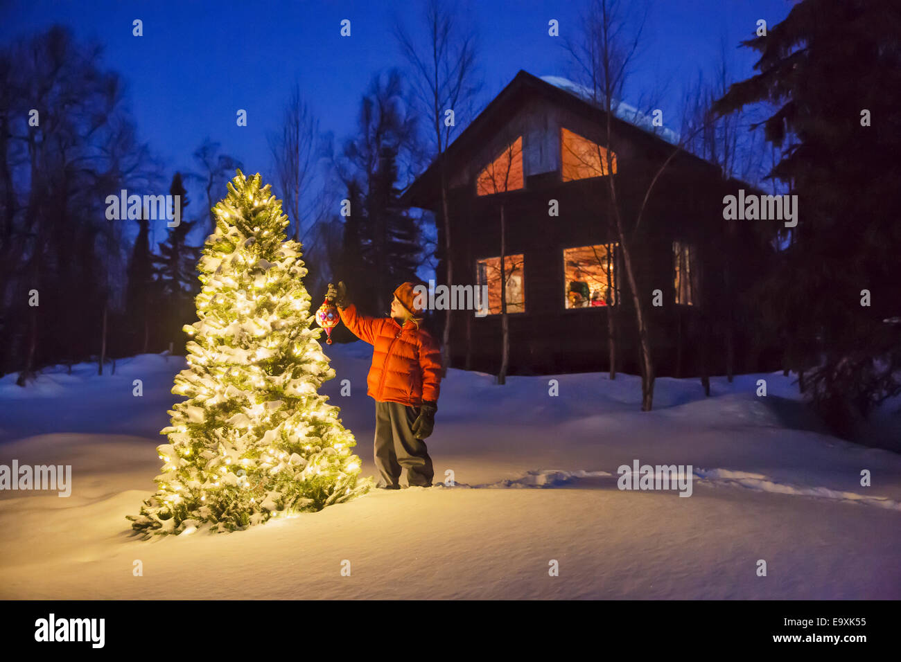 Cabin tree hi-res stock photography and images - Alamy