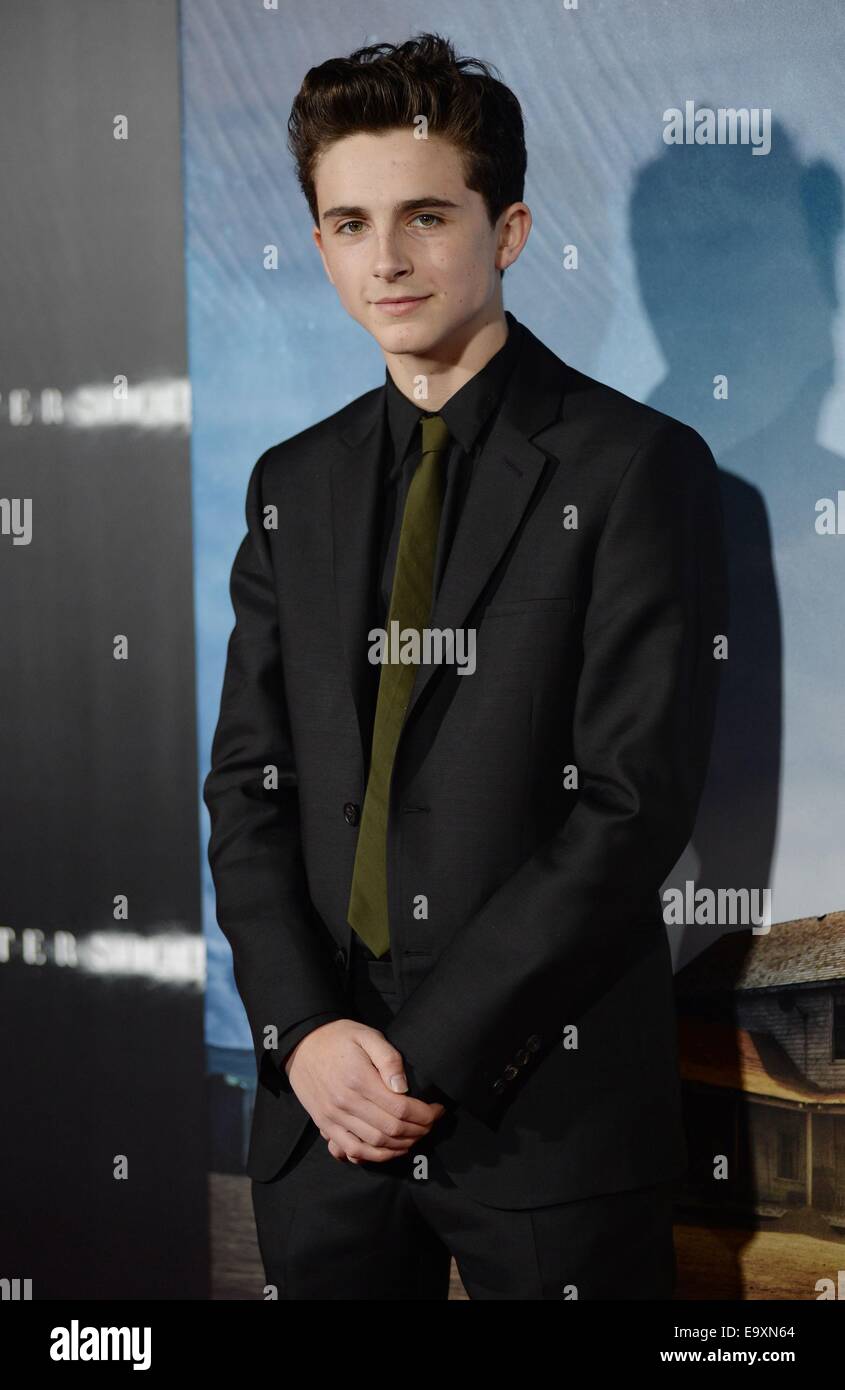 Interstellar timothee chalamet hi-res stock photography and images - Alamy